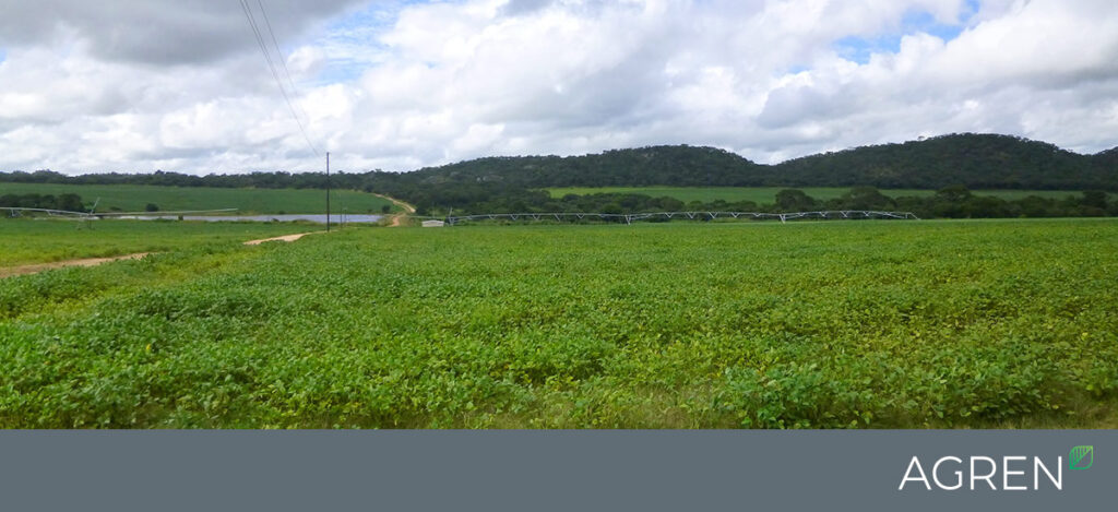 Zambia: developing the agricultural potential of a nation – AGREN